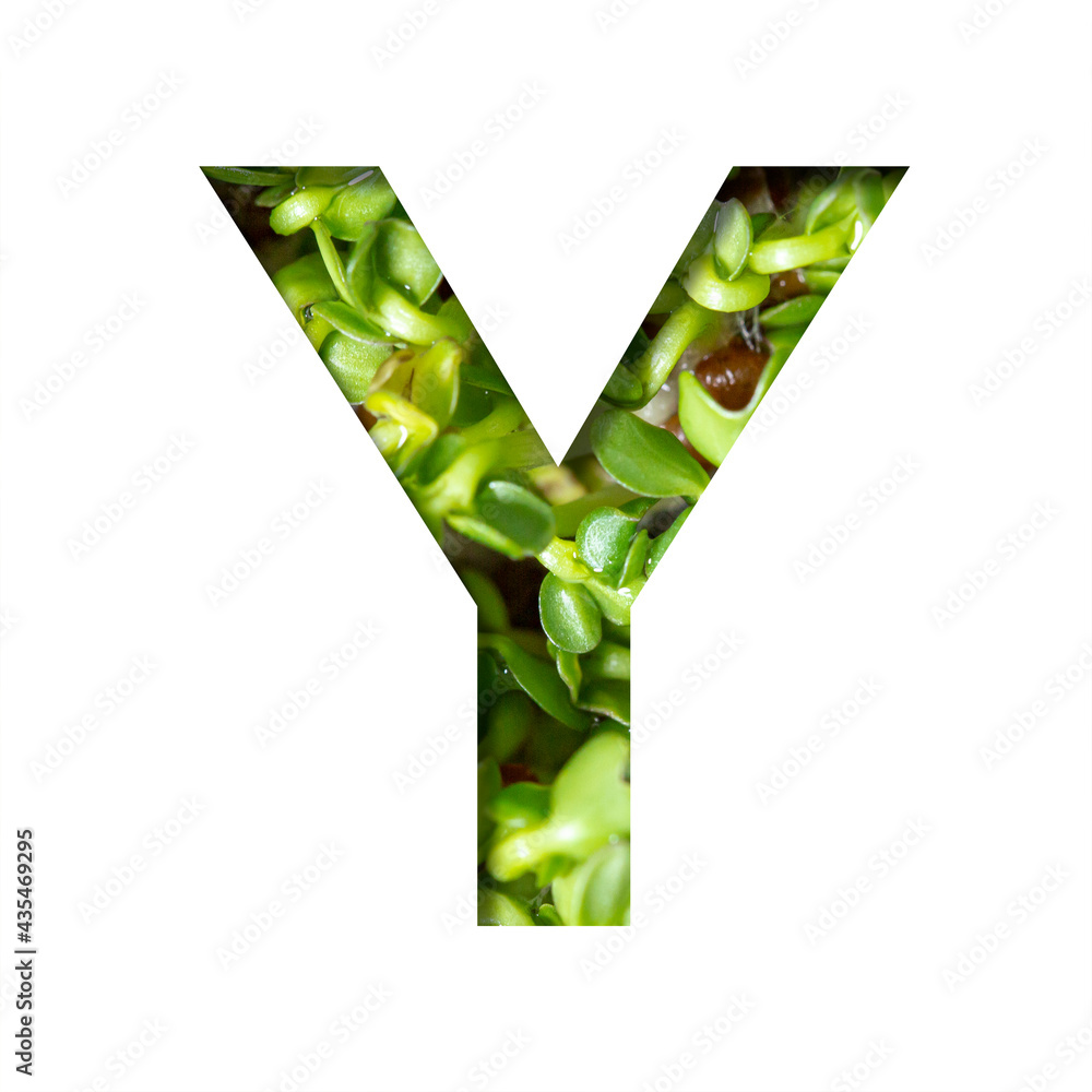 Font on micro greenery.The letter Y cut out of paper on the background ...