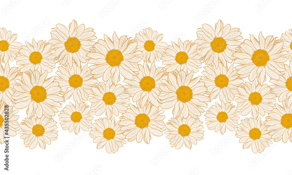 Seamless horizontal daisy border with bronze outline isolated on white ...