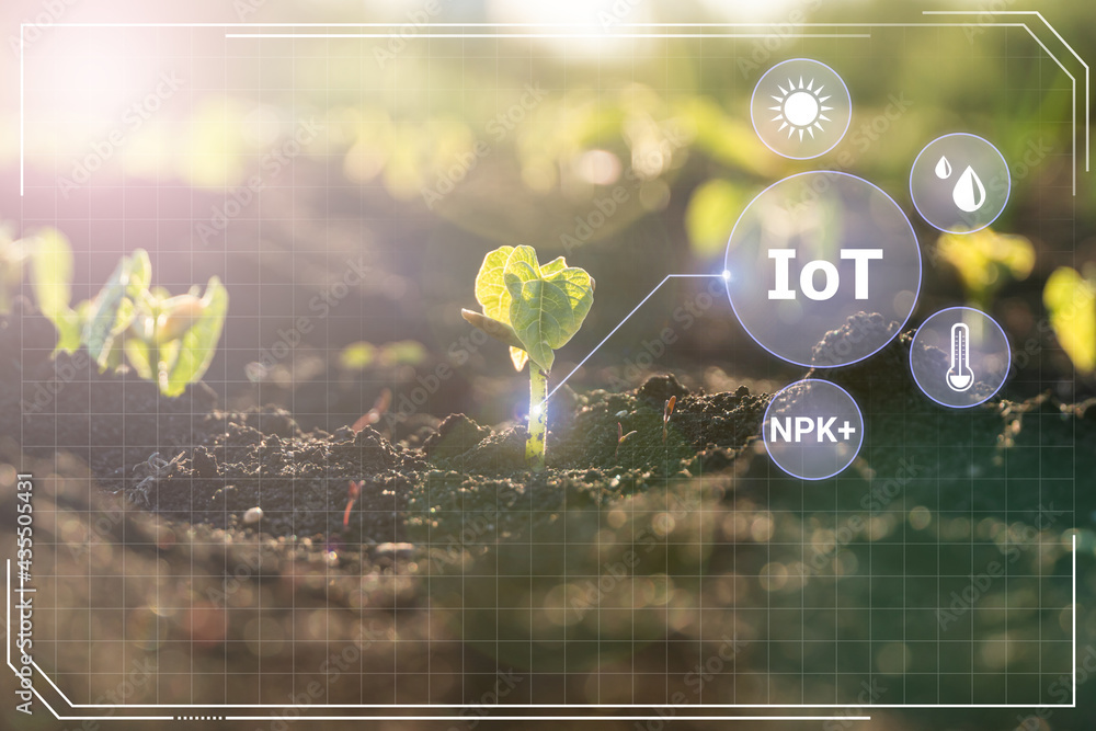 Agriculture with iot technology in smart farm with precision sensor for ...