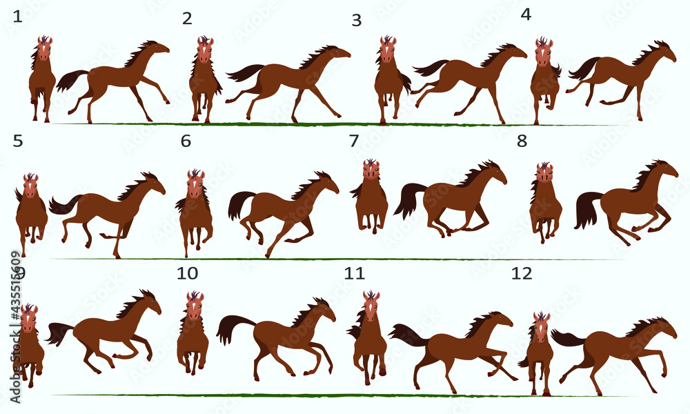 Animation of a 2D horse. Twelve key poses. Front view and side view ...