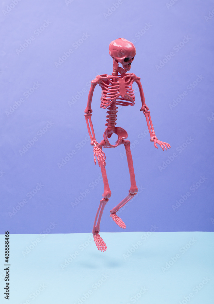Levitating pink skeleton on colored background. Minimalistic still life ...