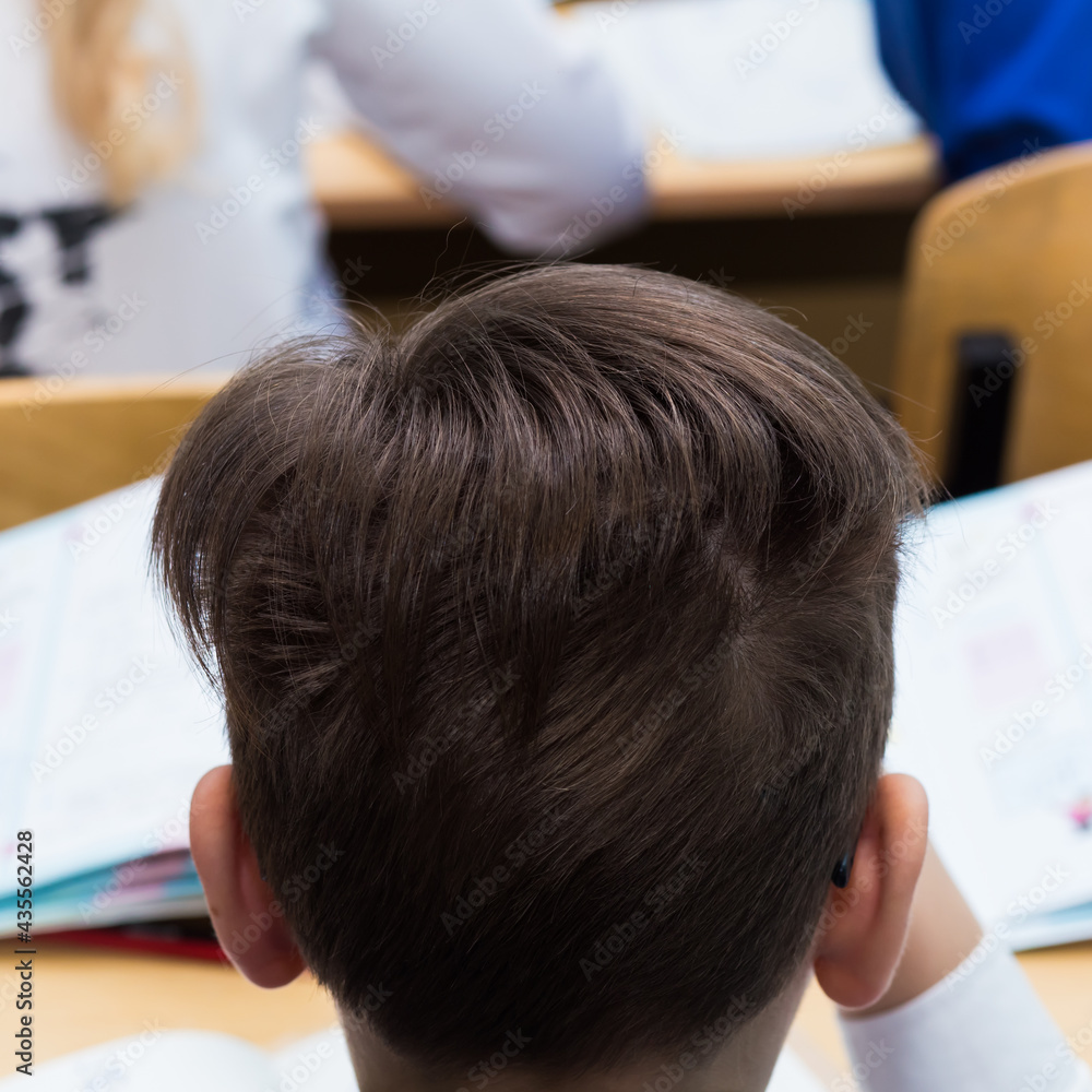 The back of the head of a boy with lush hair on the crown. Close-up of ...