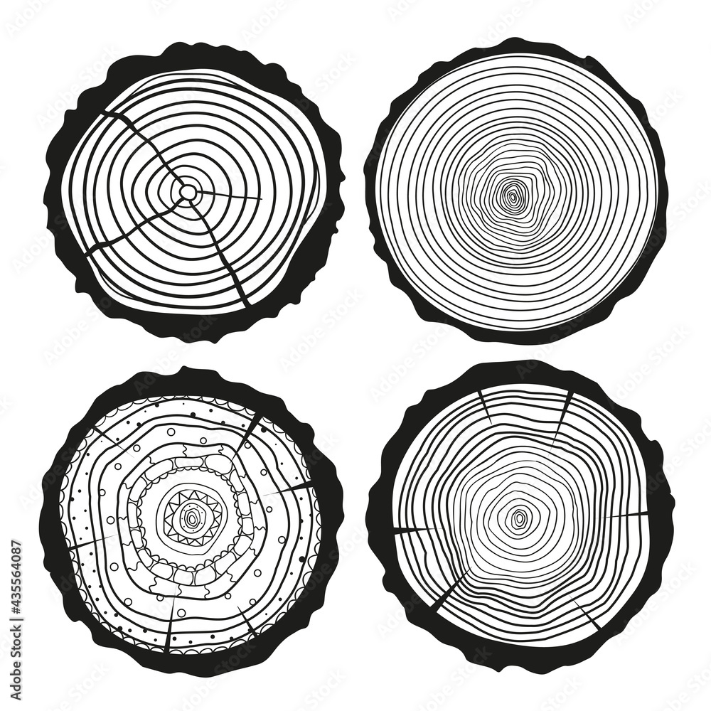 Tree rings. Mandala. Set of tree rings on isolation background ...