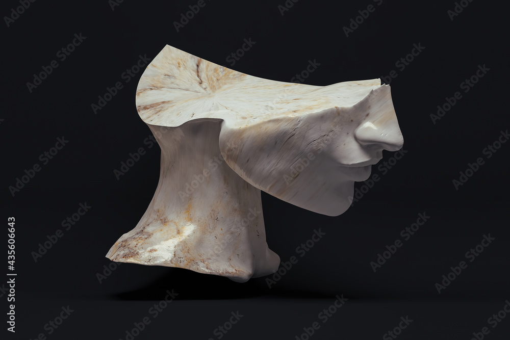 Statue head cut in half with marble texture Stock Photo | Adobe Stock