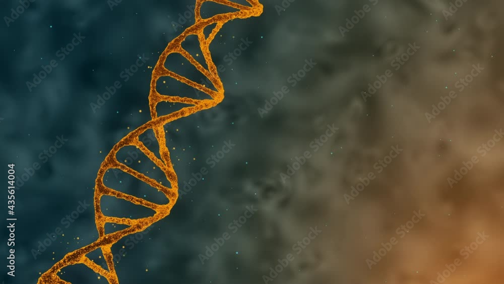 DNA rotating medical science concept 3D animation of DNA double helix ...