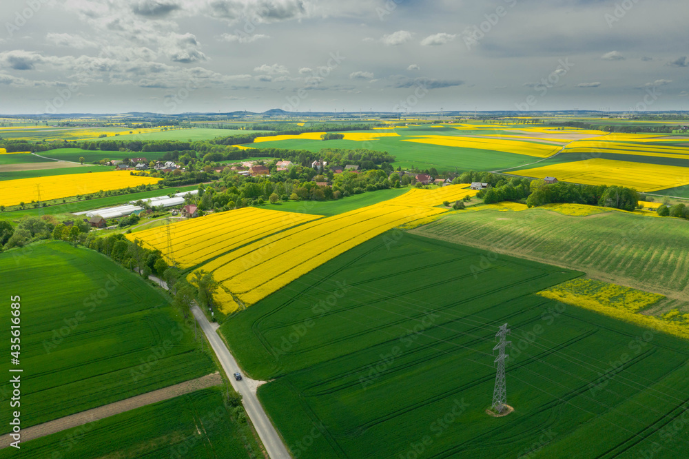 Foto de Przedgórze Sudeckie. Pola uprawne z plantacjami kwitnącego ...