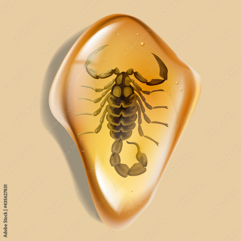 Amber stone with insect isolated on white background. Scorpio ancient ...