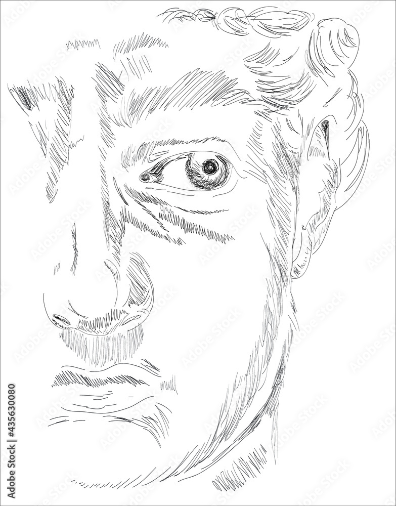 David face of Michelangelos sculpture the biblical hero David. Half of ...