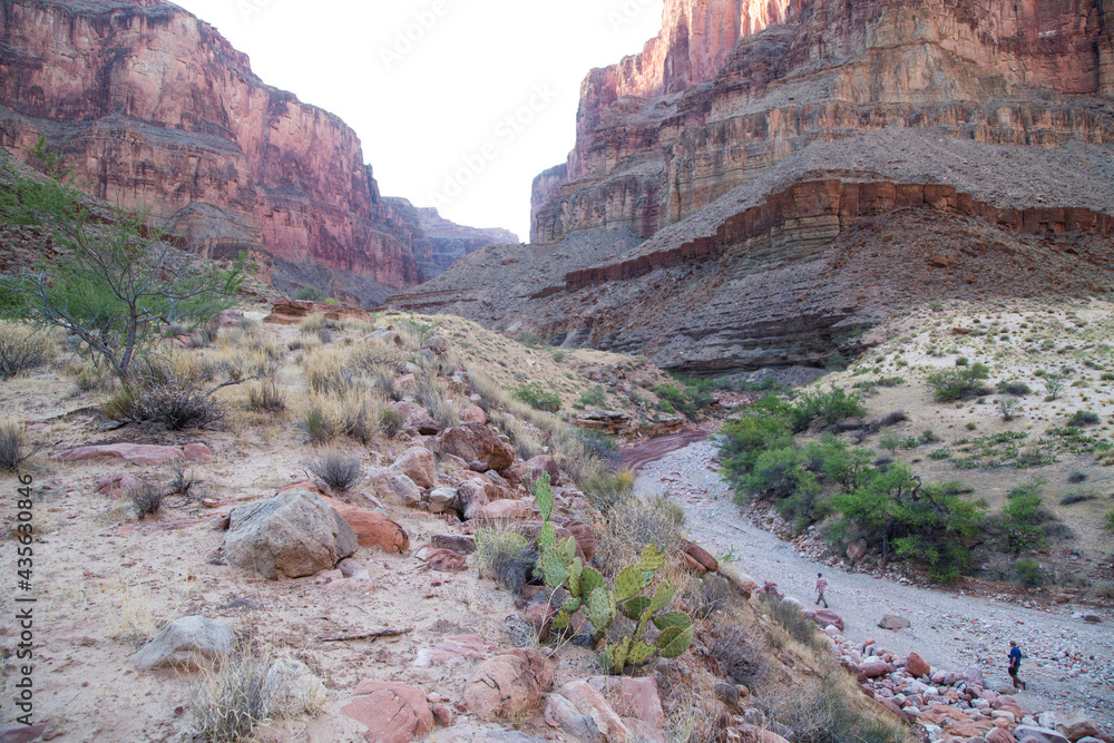 Hikers head up a dry gulch in a side canyon off the Grand Canyon ...