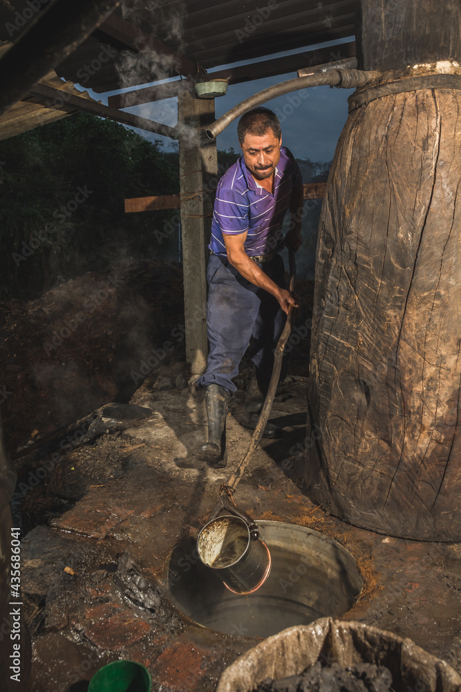 Mezcal master cooking the pineapple from the agave to extract the juice ...