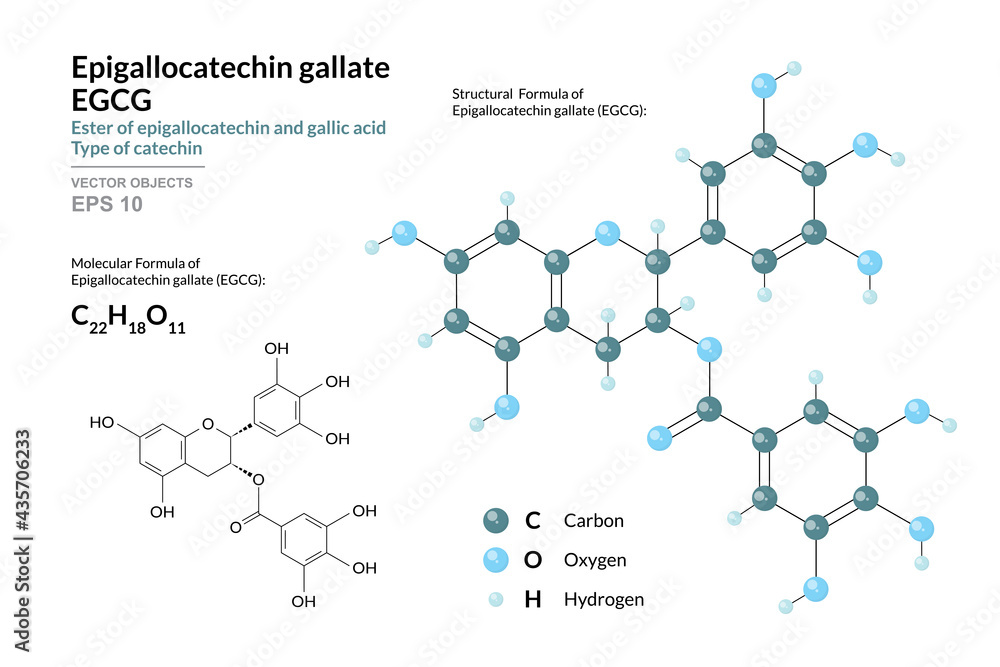 EGCG. Epigallocatechin gallate. Structural Chemical Formula and ...