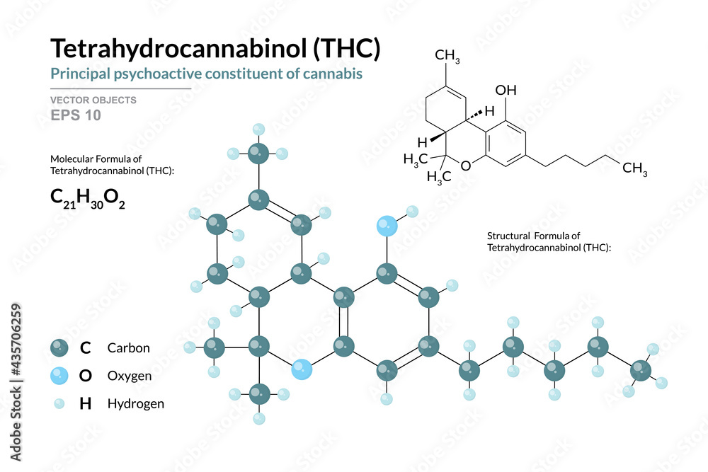 Thc Molecule 3d