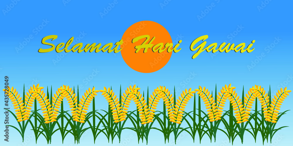 A vector of paddy field with "Selamat Hari Gawai" word. "Gawai" is ...