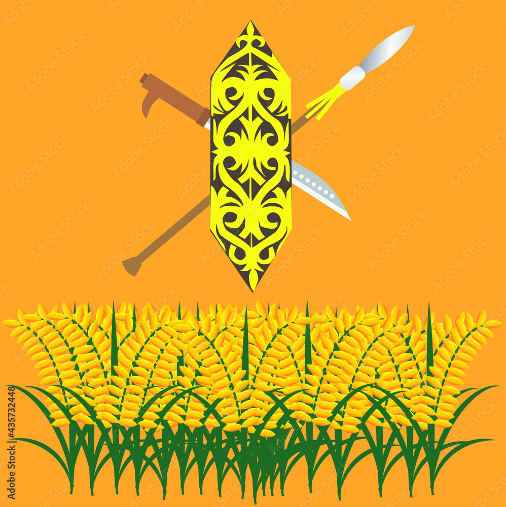 A vector of "terabai" or shield, "mandau" or ilang sword and blow pipe ...