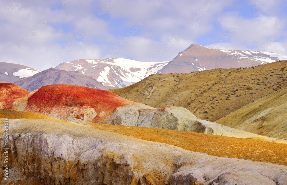 Mars in the Altai Mountains. The slope of the river terrace with the ...