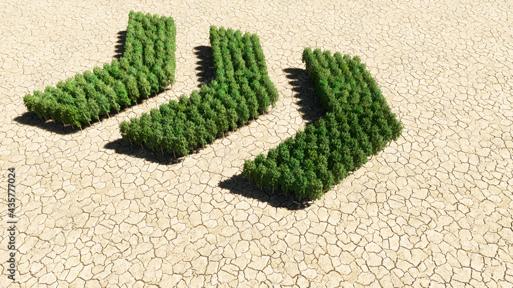 Concept or conceptual group of green forest tree on dry ground ...