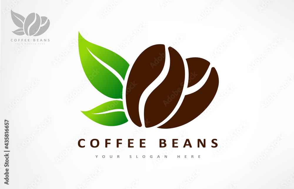 Coffee Bean Vector Logo