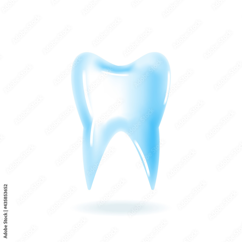 Realistic human tooth with shadow isolated on white background. Vector ...