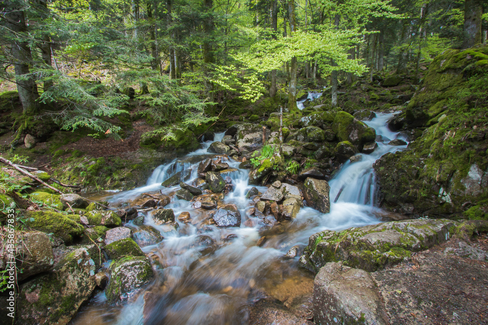 La cascade du Rummel est une chute d'eau du massif des Vosges située sur la commune de Lepuix ...