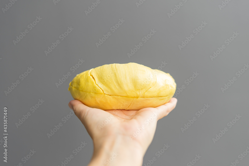 Close up A woman handle durian show the yellow durian meat to eat. The ...