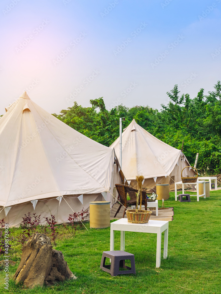 Holiday tents and lounge areas on green lawn place among trees at ...
