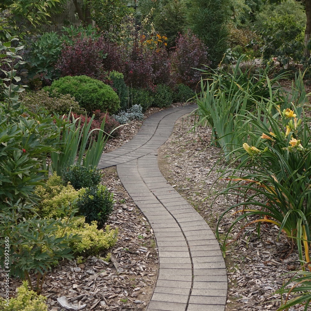 Foto de Backyard Garden Modern Design Landscaping. Decorative Garden ...