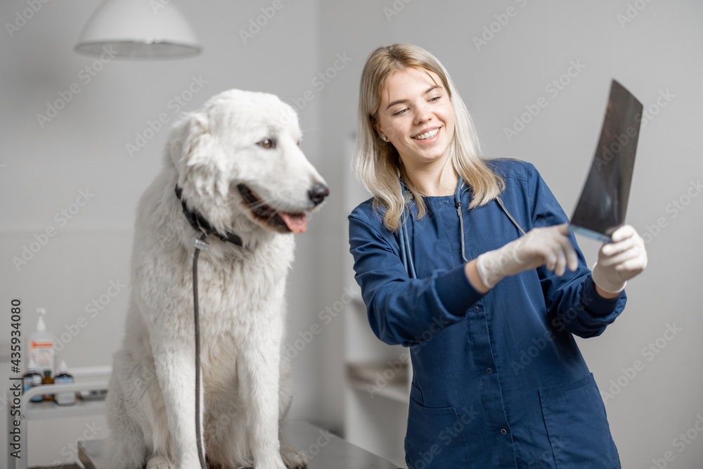 Happy Vet radiologist shows his patient medical x-ray image of dogs paw ...