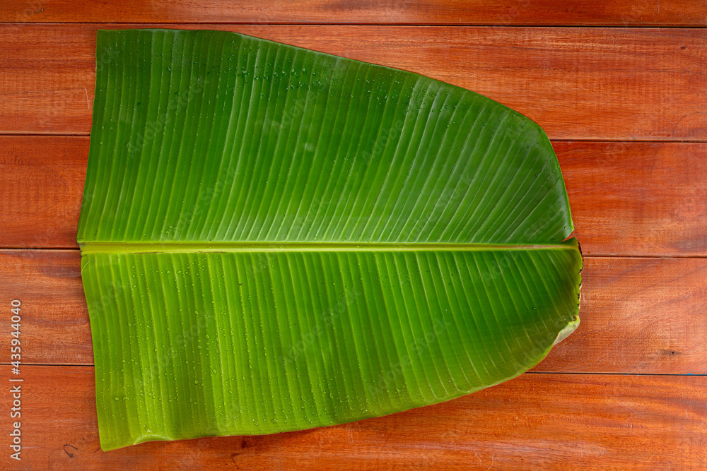Banana leaf Stock Photo | Adobe Stock
