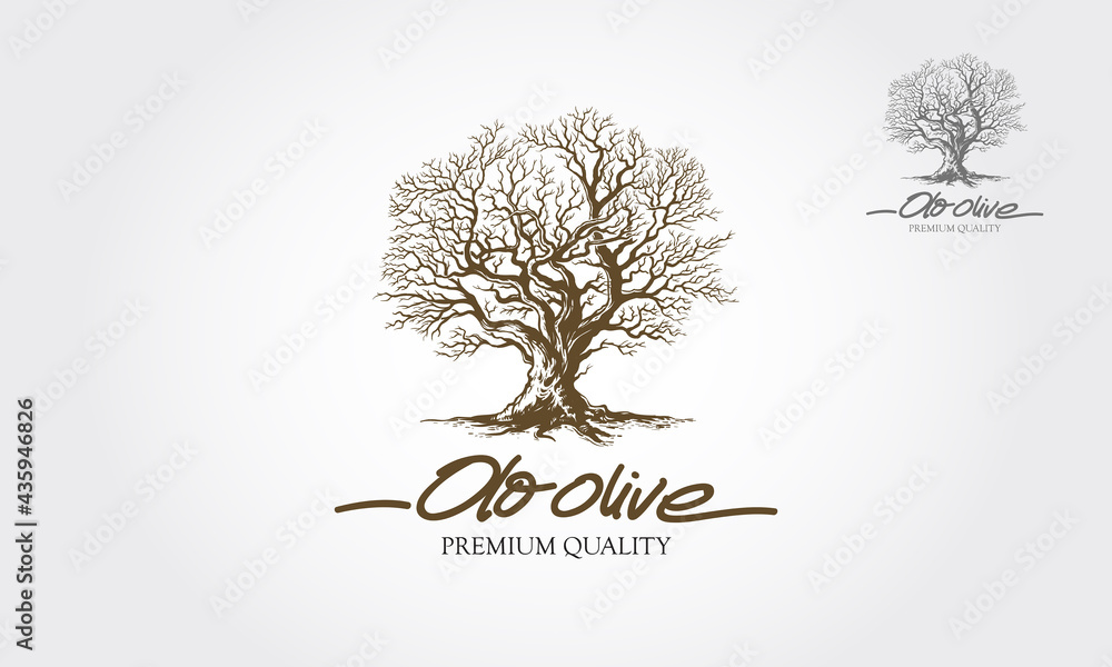 Old Olive Tree Vector Logo Template. This logo depicts a tree whose ...