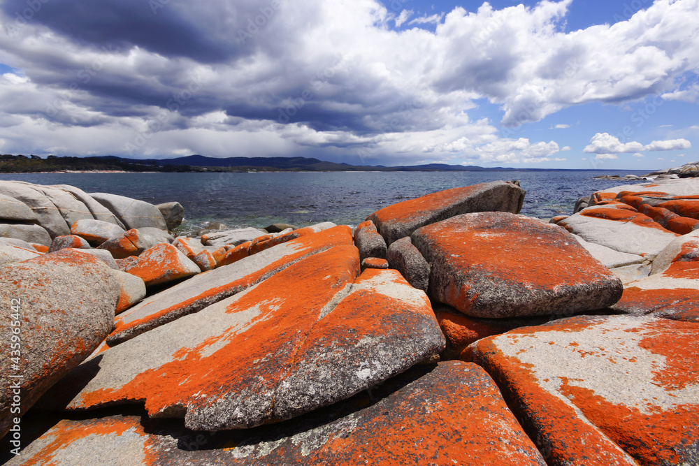 Beautiful scenery with red rocks on the ocean coast at Skeleton Point ...