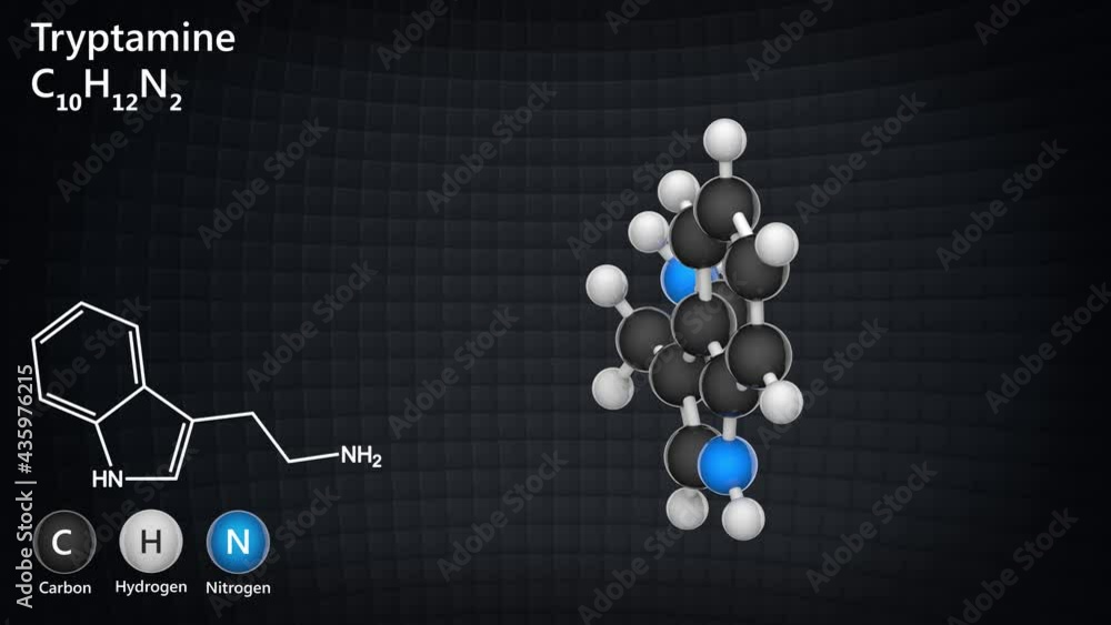 Tryptamine is a monoamine alkaloid. Formula C10H12N2. 3D render ...