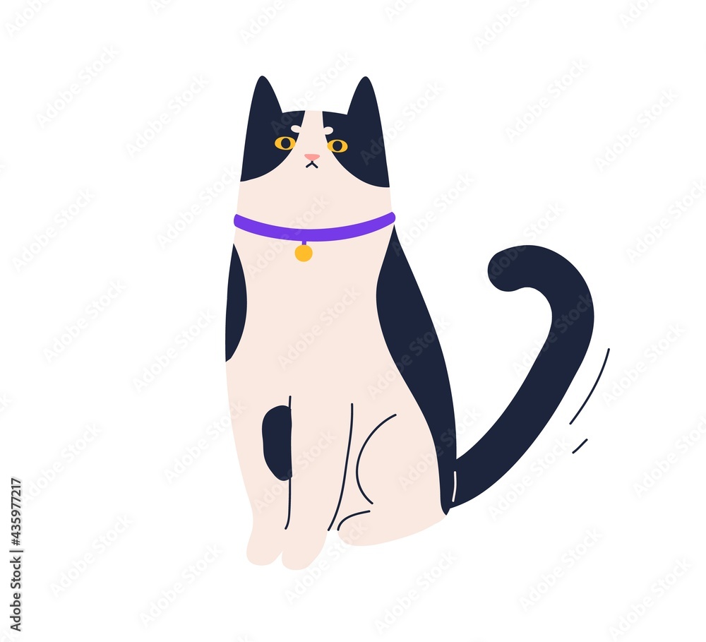 Cute angry cat sitting with frowning face expression. Portrait of funny ...