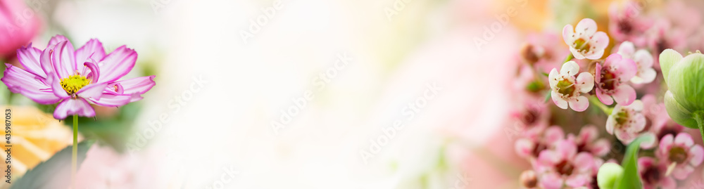 Nature of flower in garden using as cover page background natural flora ...