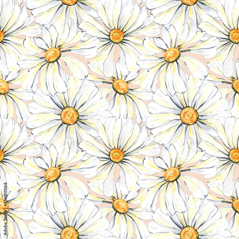 Watercolor daisy seamless pattern. Boho floral and leaves, naive style ...