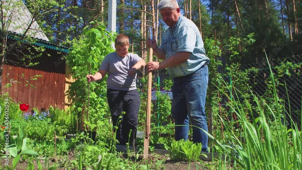 The father pats the boy on the shoulder and digs a hole for the ...