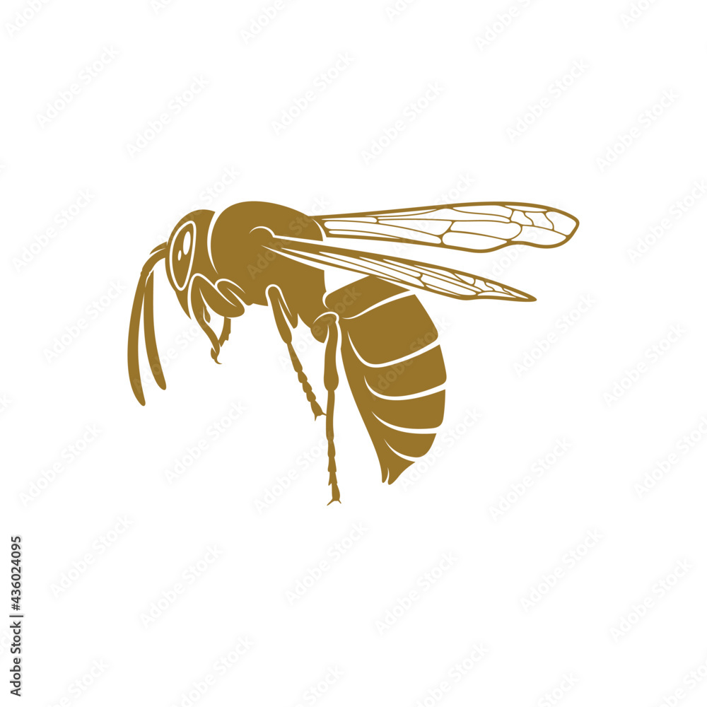 Wasp vector illustration. Wasp logo design concept template. Creative ...