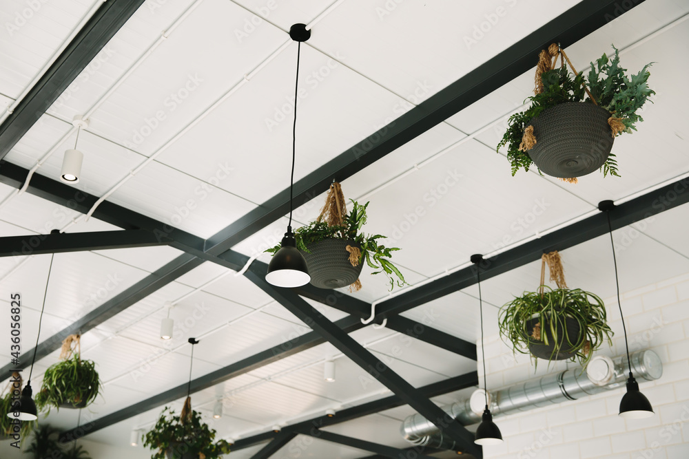 Ceiling and lighting in a modern Scandinavian cafe. Interior details of ...