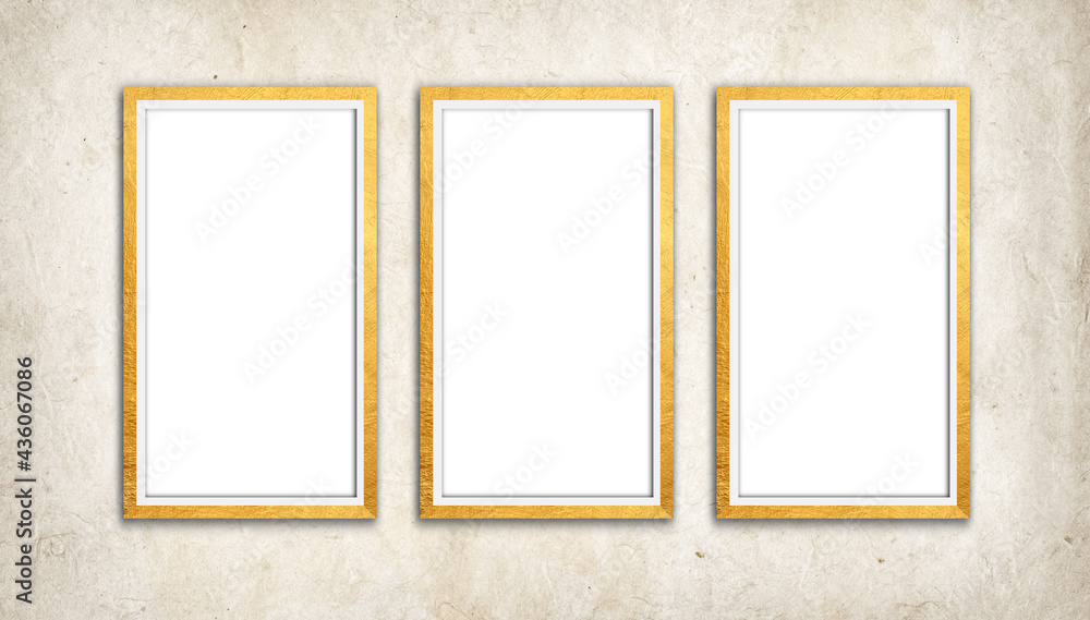 Three Thin vertical frame hanging in textured Vintage Wall. 3 ...