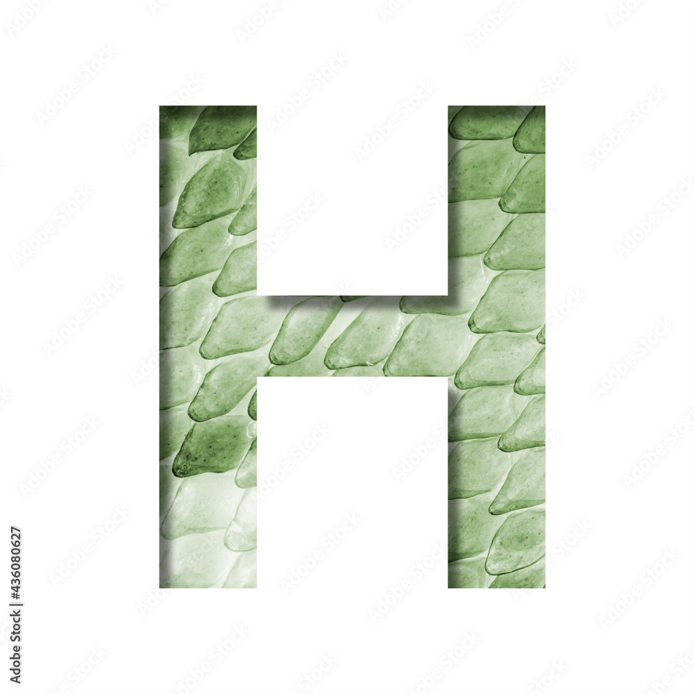 Snake scales font. The letter H cut out of paper on the background of a ...