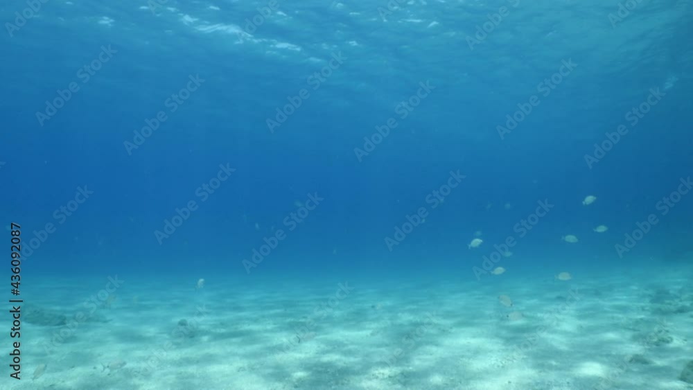 underwater scenery of mediterranean rocks and reef deep blue clean ...