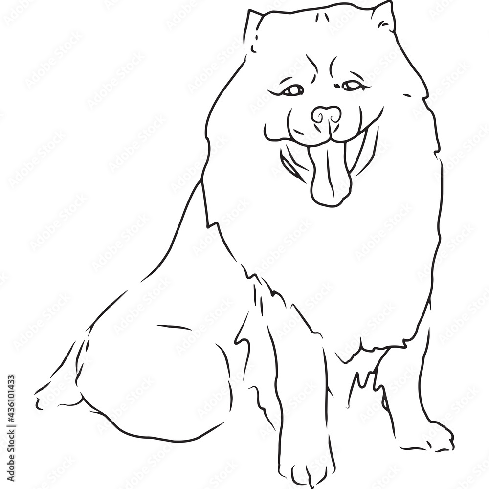 Chow Chow Dog, Hand Sketched Vector Drawing Stock Vector | Adobe Stock