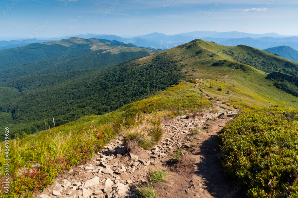 Panorama from the Rozsypaniec summit to the peaks of Tarnica, Halicz ...