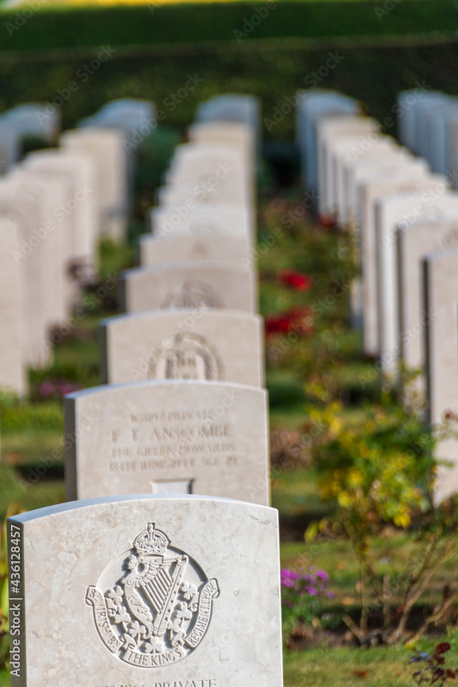 Gravestones honouring the fallen soldiers of WWII are neatly lined up ...