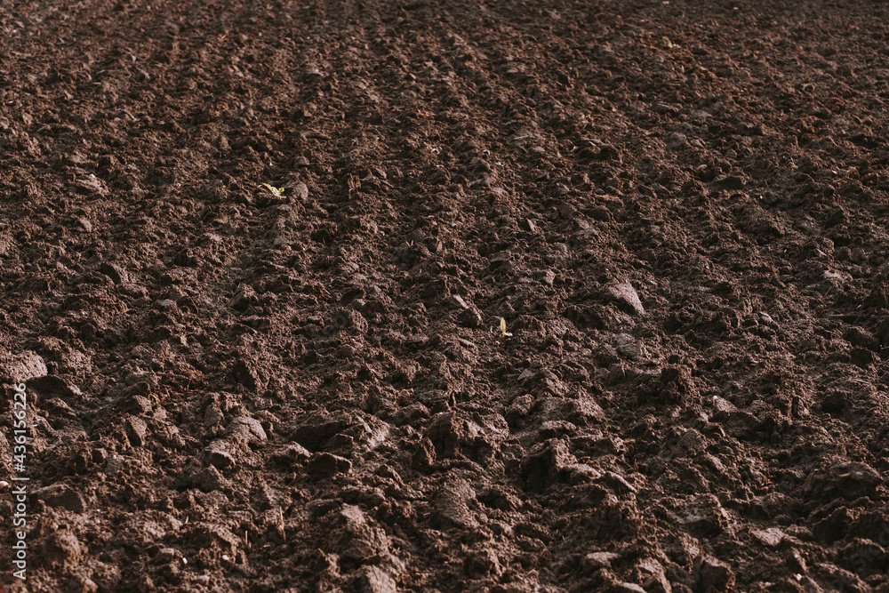 agricultural excavated soil with strips extending into perspective ...