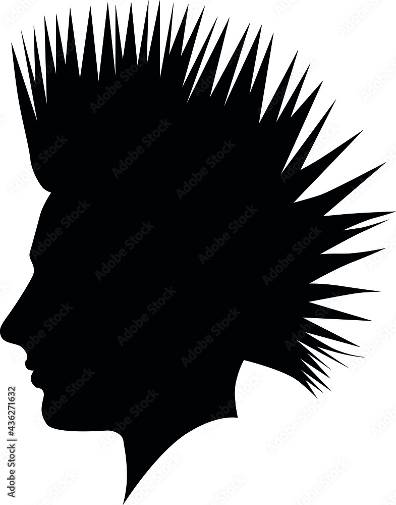 Irokese punk hairstyle for a adult men Anarcho punk (or anarchist punk ...