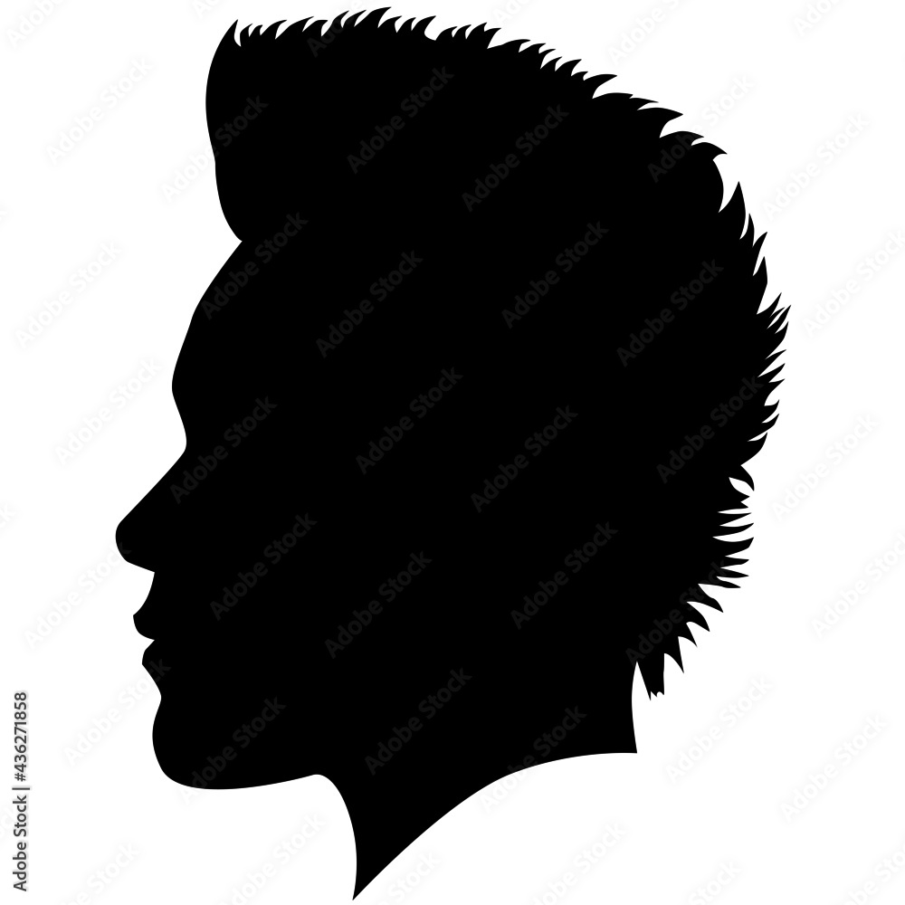 Irokese punk hairstyle for a adult men Anarcho punk (or anarchist punk ...