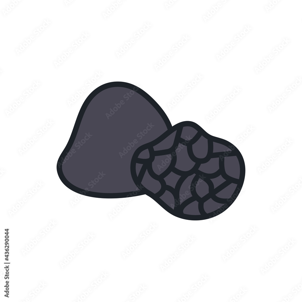 Black truffle icon. Vector isolated linear color icon contour shape ...