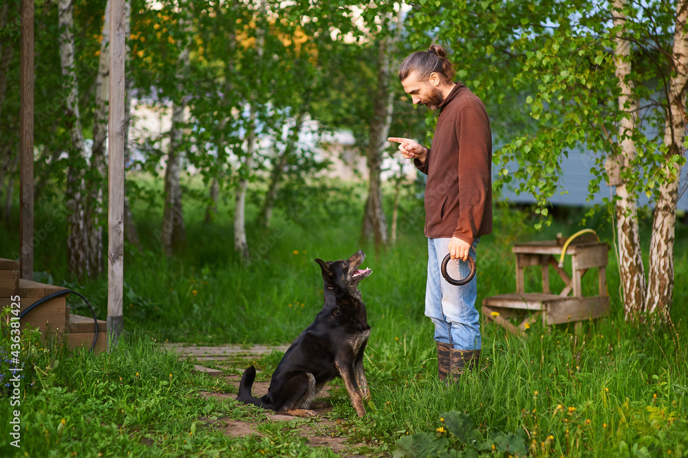 A dog is learning the association between the verbal command and hand ...