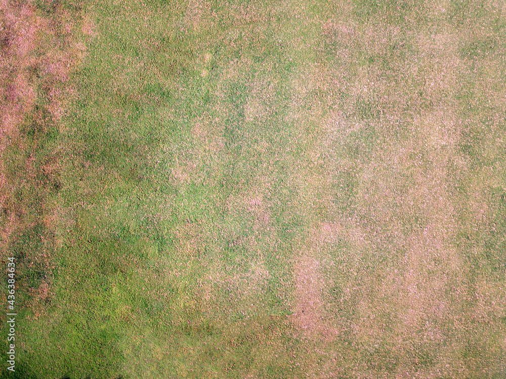 Overhead grass shot. Artificial texture. Grass texture. Drone grass ...