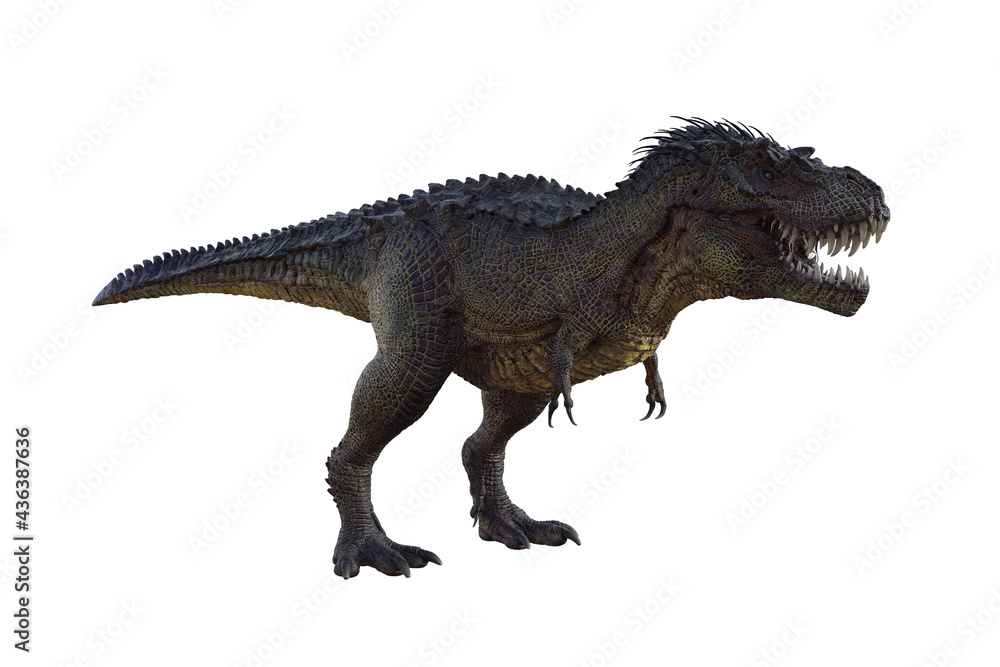 tyrannosaurus rex, in different poses for better adaptation to your ...